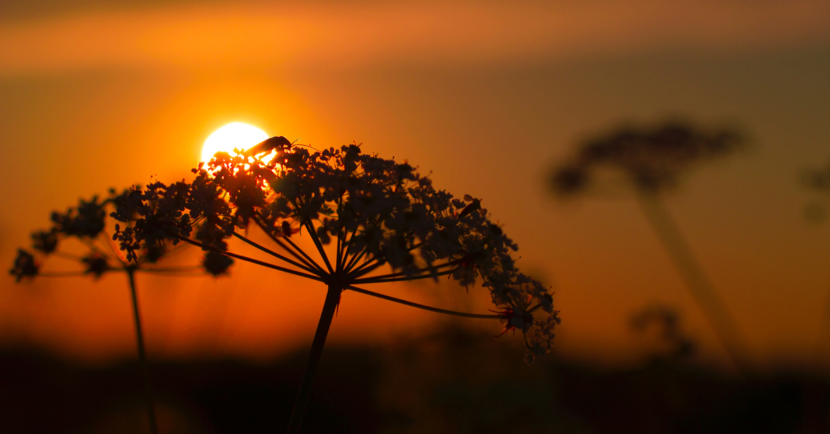 The Six Stages of Grief and Bereavement